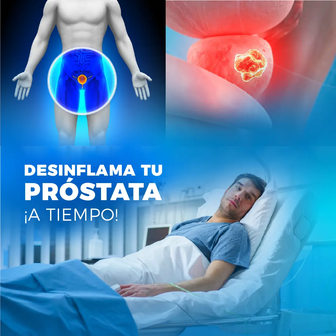 CREMA PARA LA PROSTATA ProstaFLEX® [PV1-META] – Quetzal Salud®